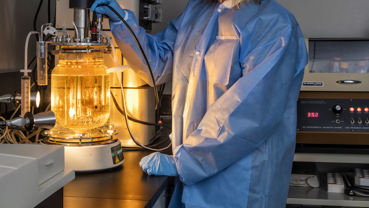 Upstream Processes: Microbial Fermentation | NCBioNetwork.org